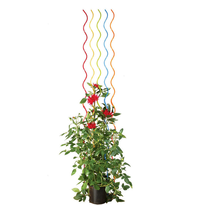 China Galvanized Tomato Spiral Steel Rods Manufacture and Factory ...